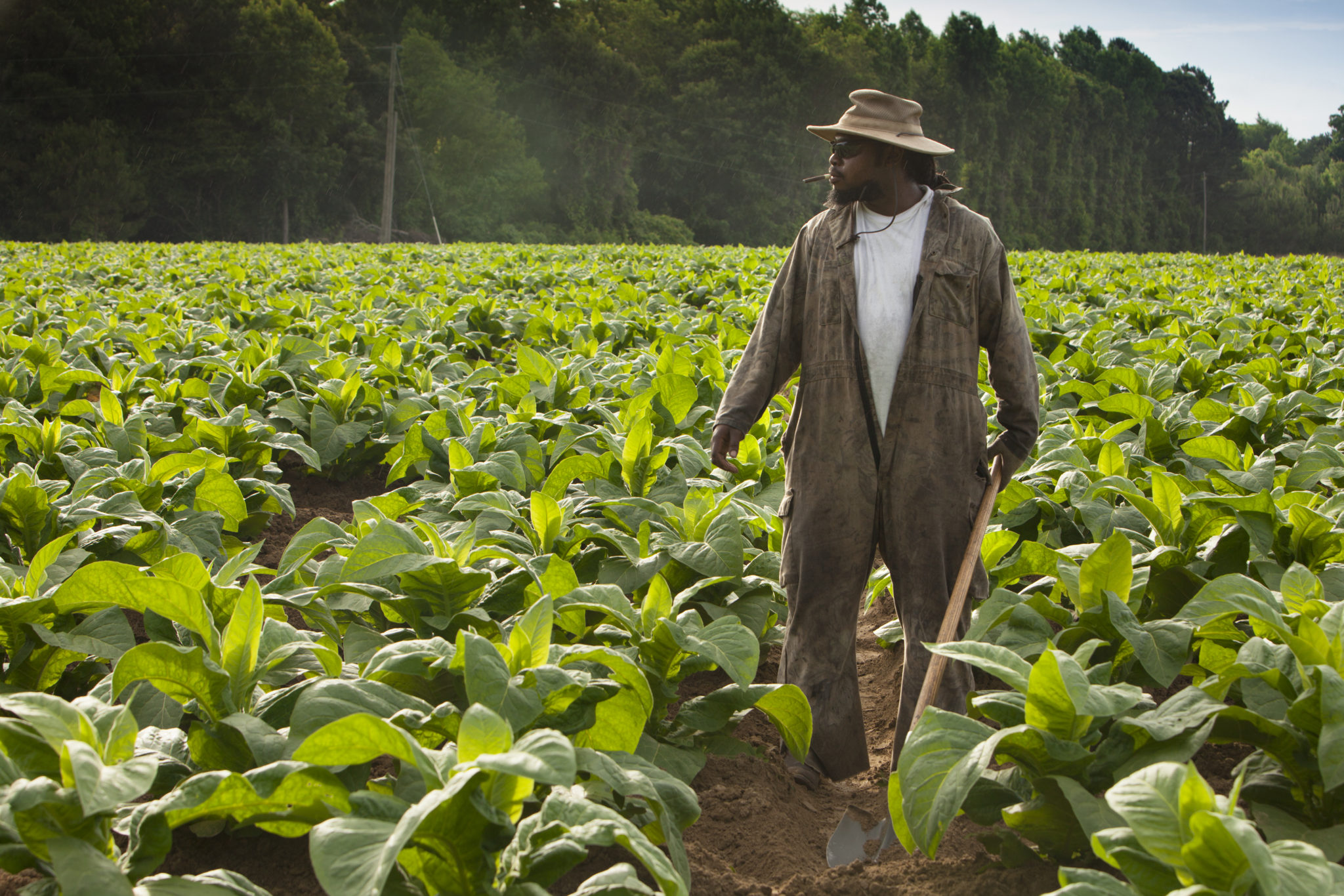 Filmmakers Hope to Connect Chicago to Rural America with "Raising ...