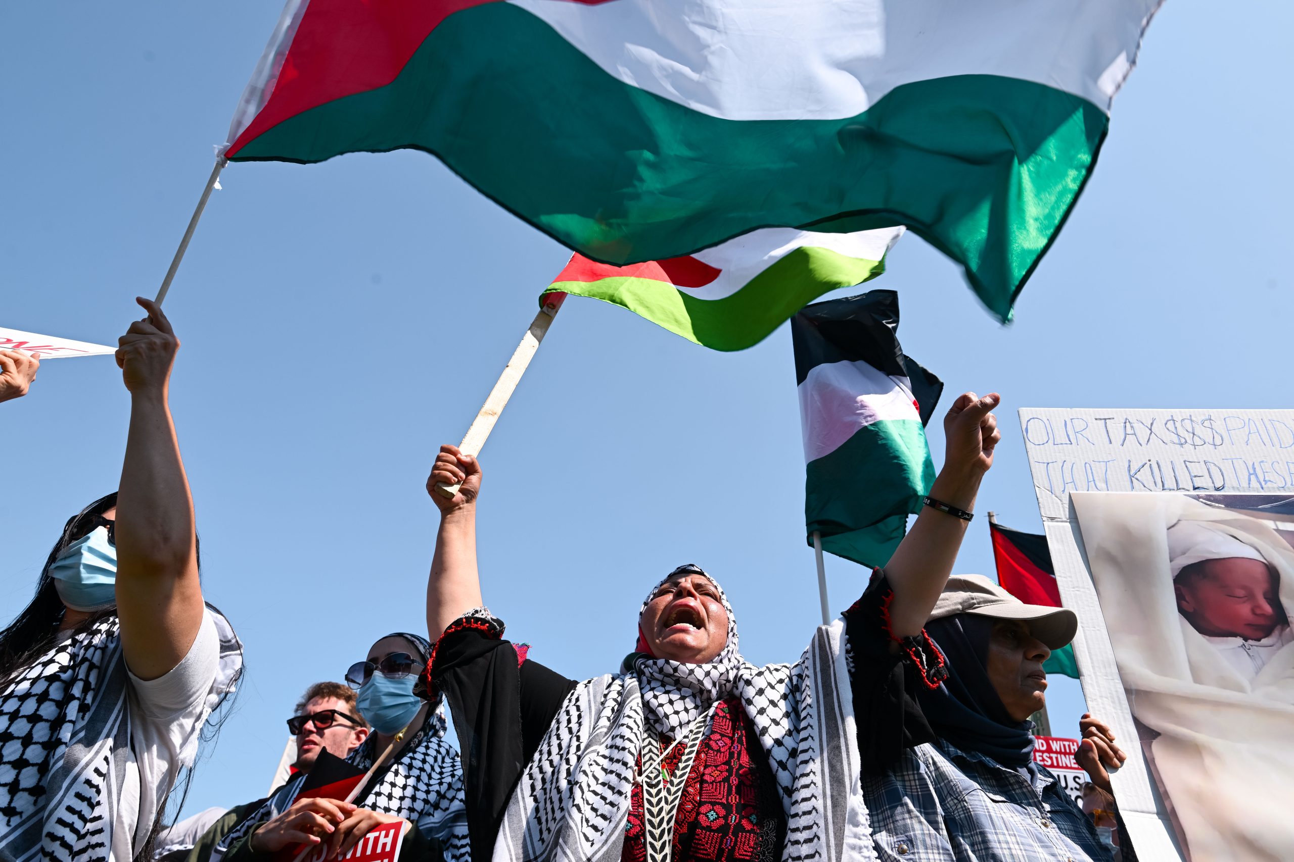 Chicago’s Pro-Palestine movement marks a year of sustained resistance ...