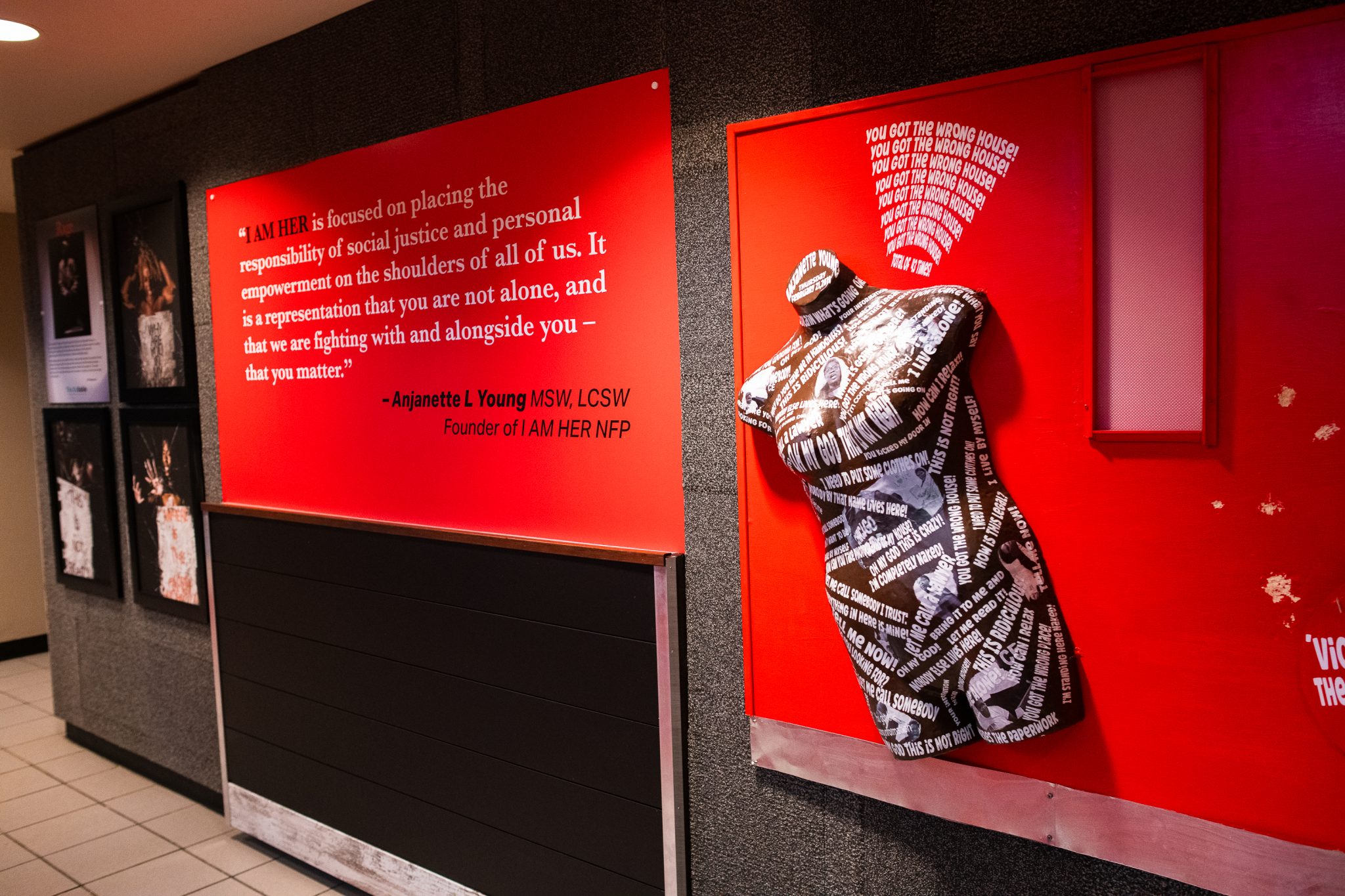 Anjanette Young’s new exhibit at the DuSable Museum showcases the ...