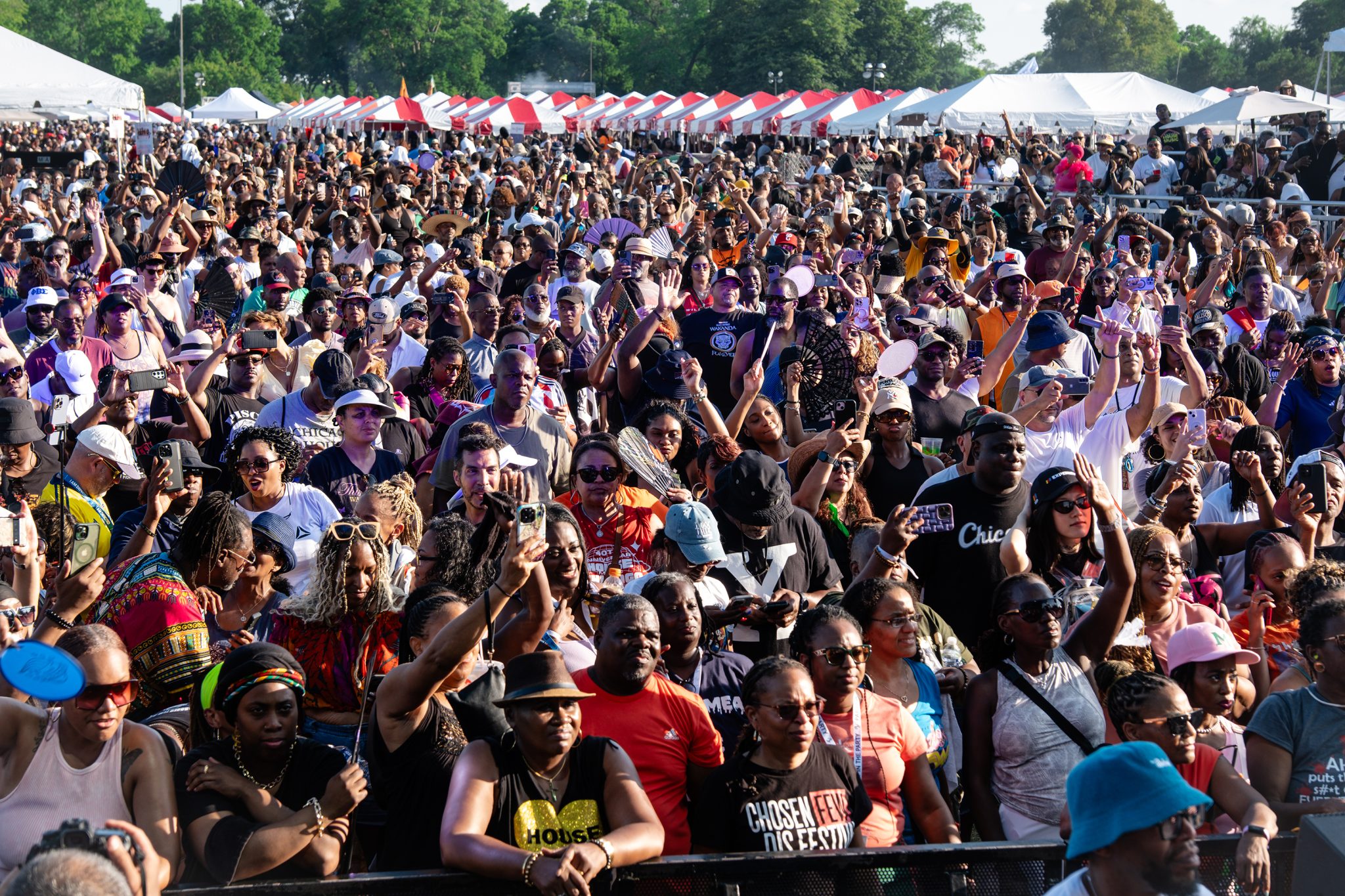 Festgoers leave the Chosen Few DJs house picnic feeling ‘lifted and free’ • The TRiiBE