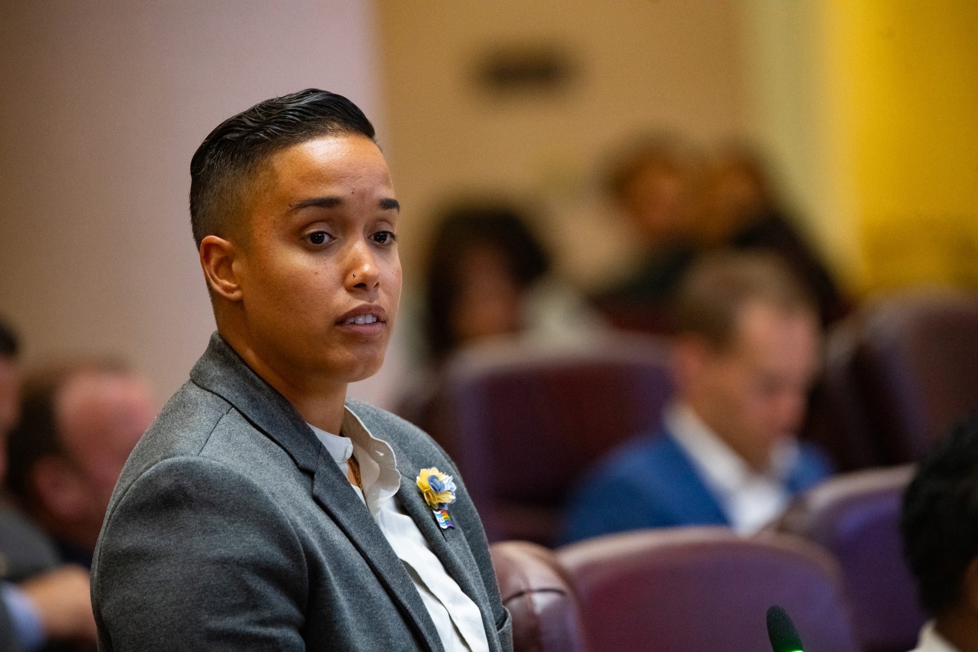 Illinois State Police assist feds in Broadview protest, Chicago ...